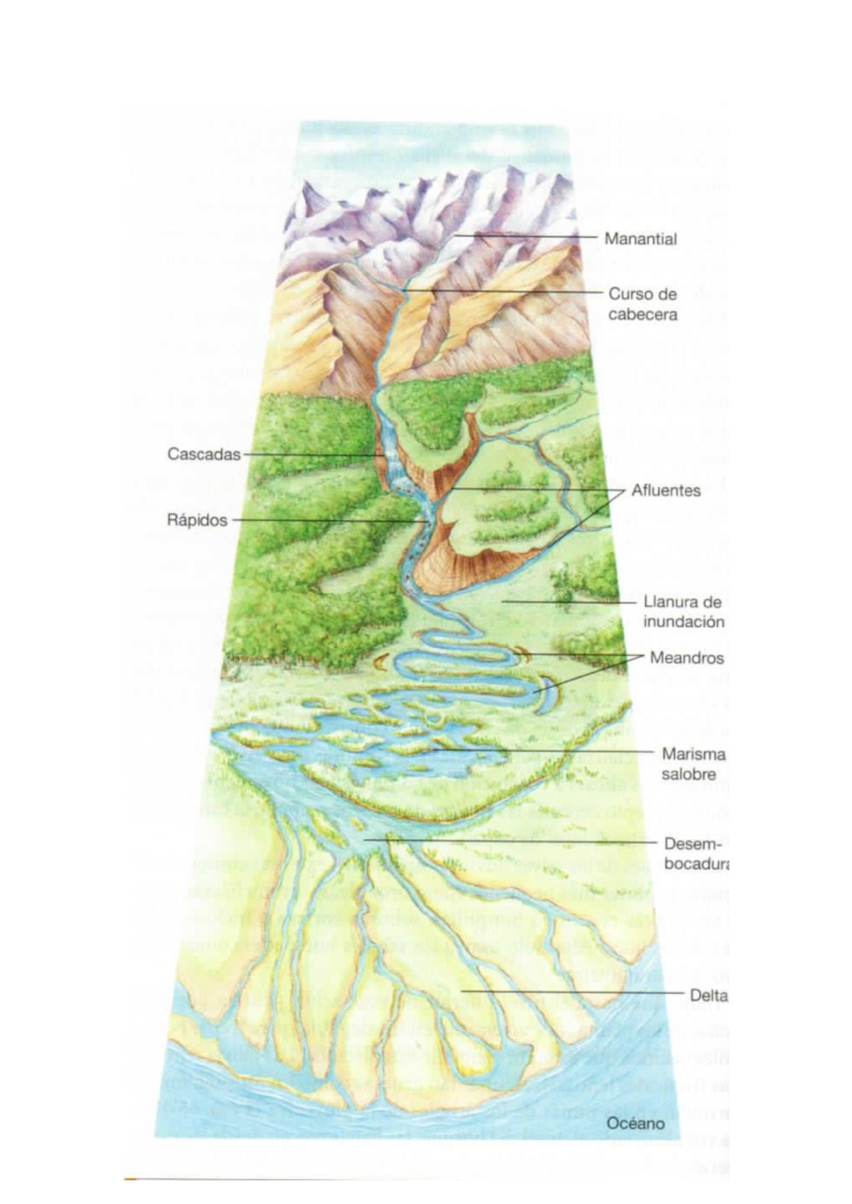 Caracteristicas DE UN RÍO Típico - Fisiologia - Studocu
