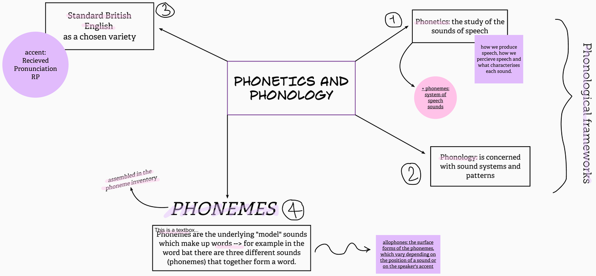 Phonetics AND Phonology - PHONETICS AND PHONOLOGY Phonetics: the study ...