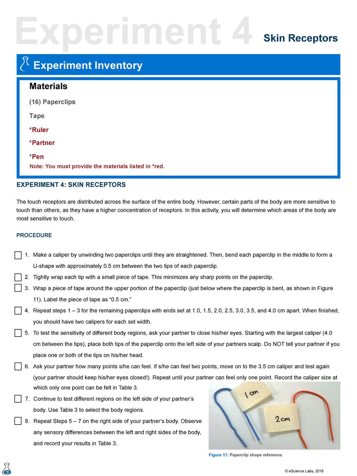 Experiment 4 - Introduction to Science Experiment 4 Skin Receptors Experiment Inventory ...