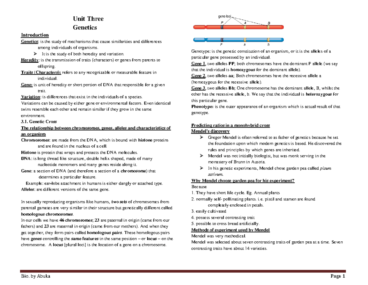Biology 12 Unit three(Genetics) - Unit Three Genetics Introduction ...