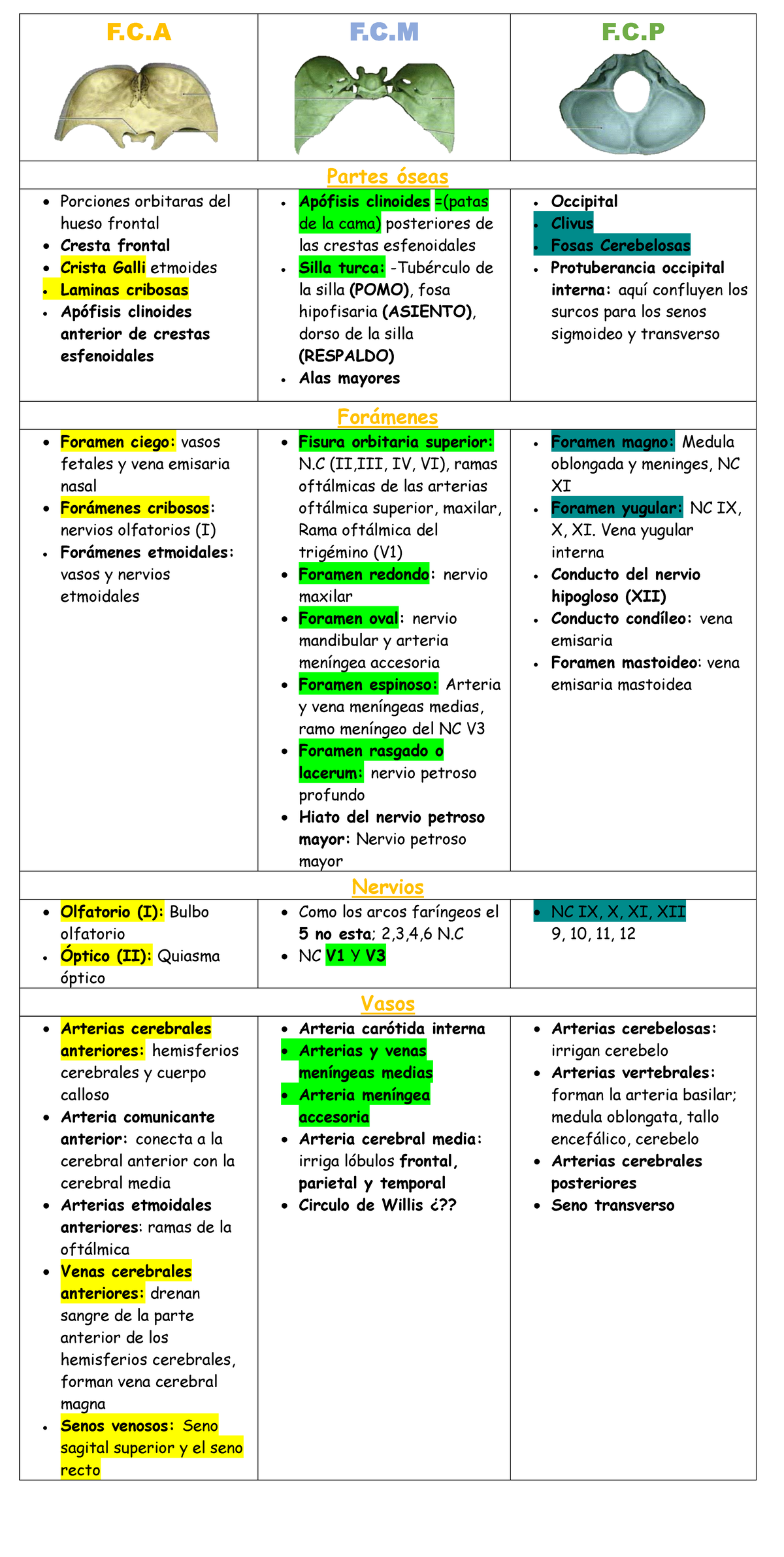 Fosas Craneales - Foramenes de cada fosa craneal y su contenido - F.C F ...