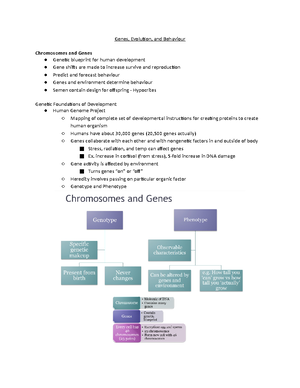 Lecture 3 - Lisa smithson notes with some of my notes - Biological ...