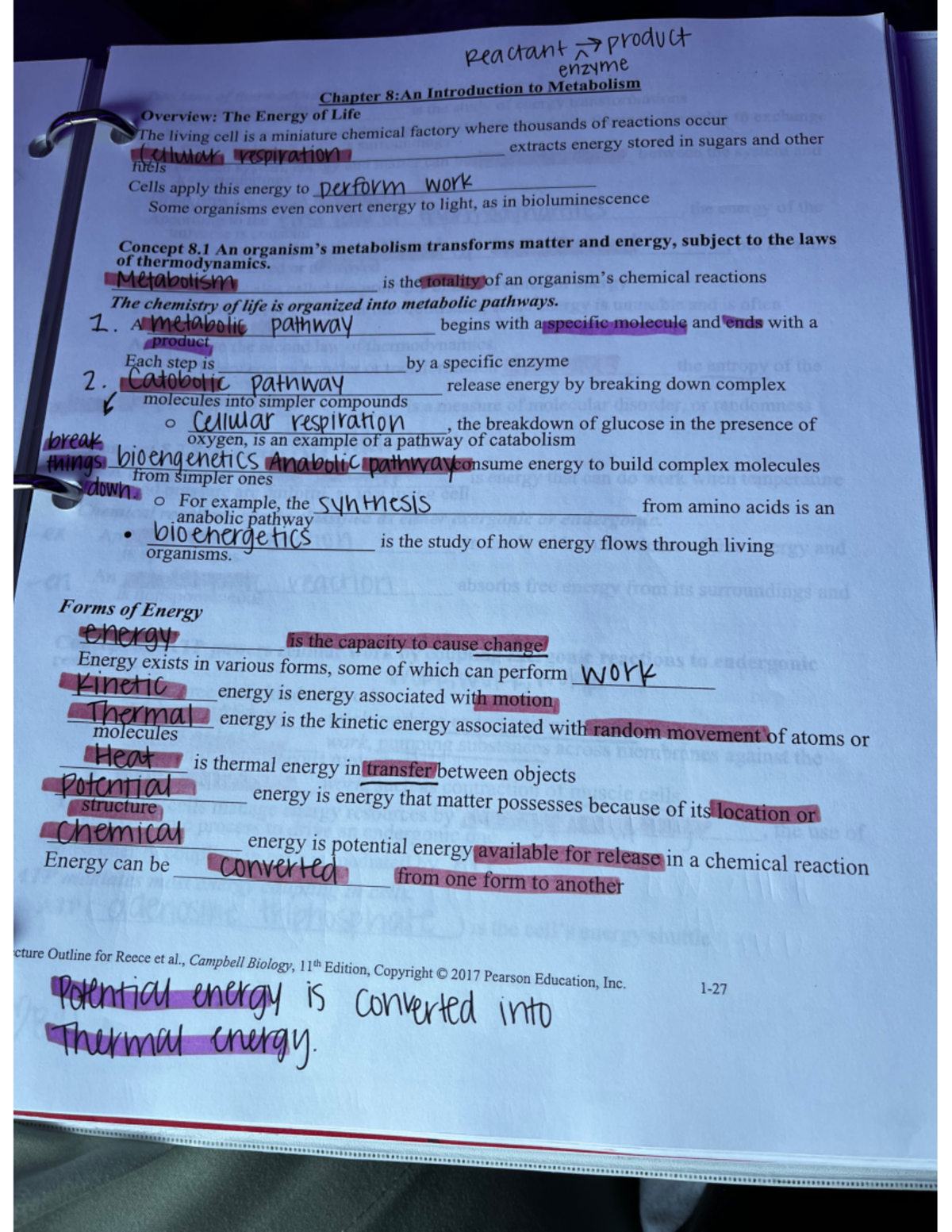 18 - biology lecture notes - BIO1134 - Studocu