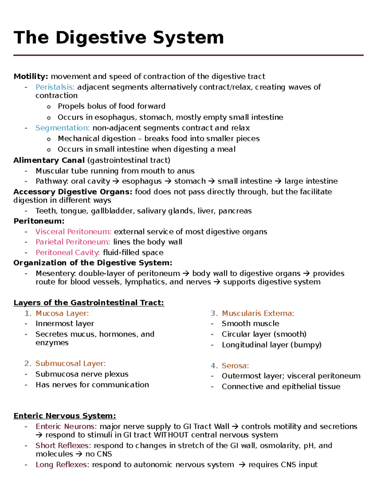 The Digestive System - The Digestive System Motility: movement and ...