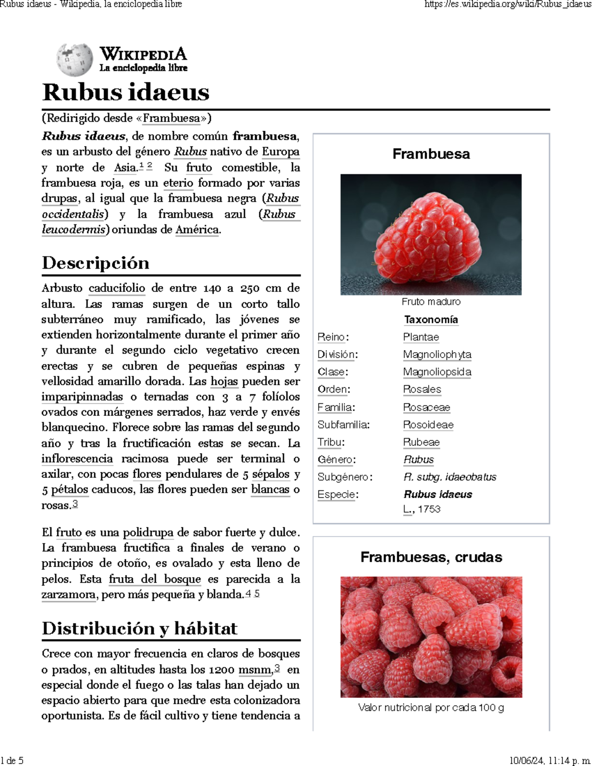 Rubus idaeus - Wikipedia, la enciclopedia libre - Frambuesa Fruto ...