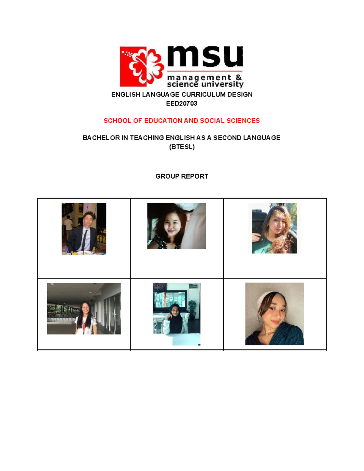 Report 1 EED20703 - Group assignment from MSU Students. A survey to all ...