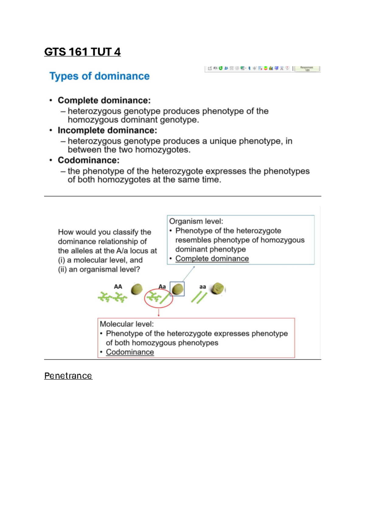 GTS 161 TUT4 - Point solutions questions and answers - GTS 161 TUT 4 ...
