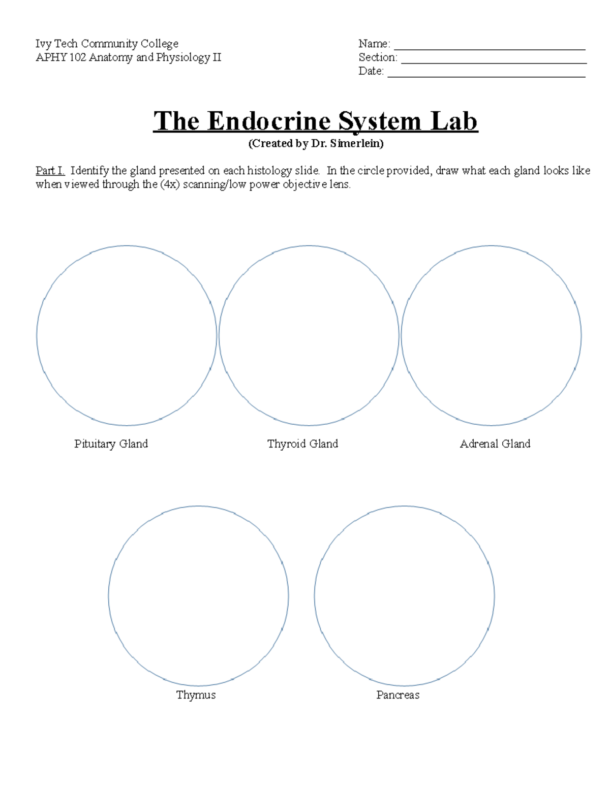 Endocrine System Lab Summer 2017 Ivy Tech Community College Name