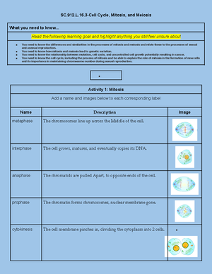 Cell Structure Gizmo Student Doc - Name: Michael Martinez Date: 10/30 ...