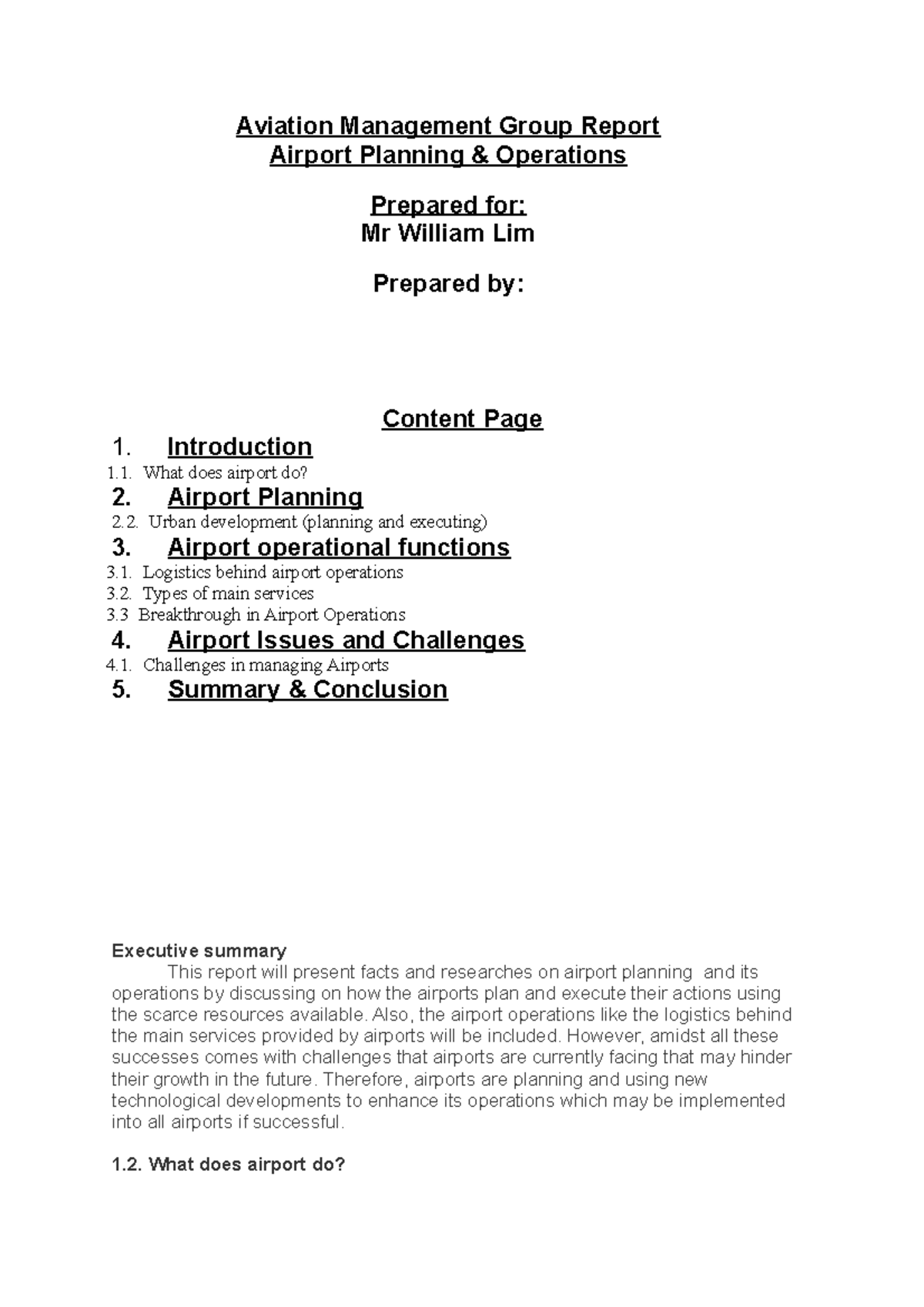 AM Project - Aviation Management Group Report Airport Planning ...