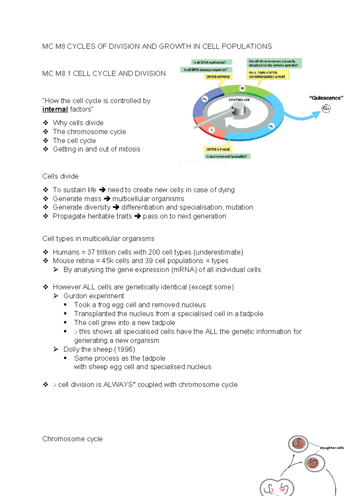 MC M8 Cycles OF Division AND Growth IN CELL Populations - MC M8 CYCLES ...