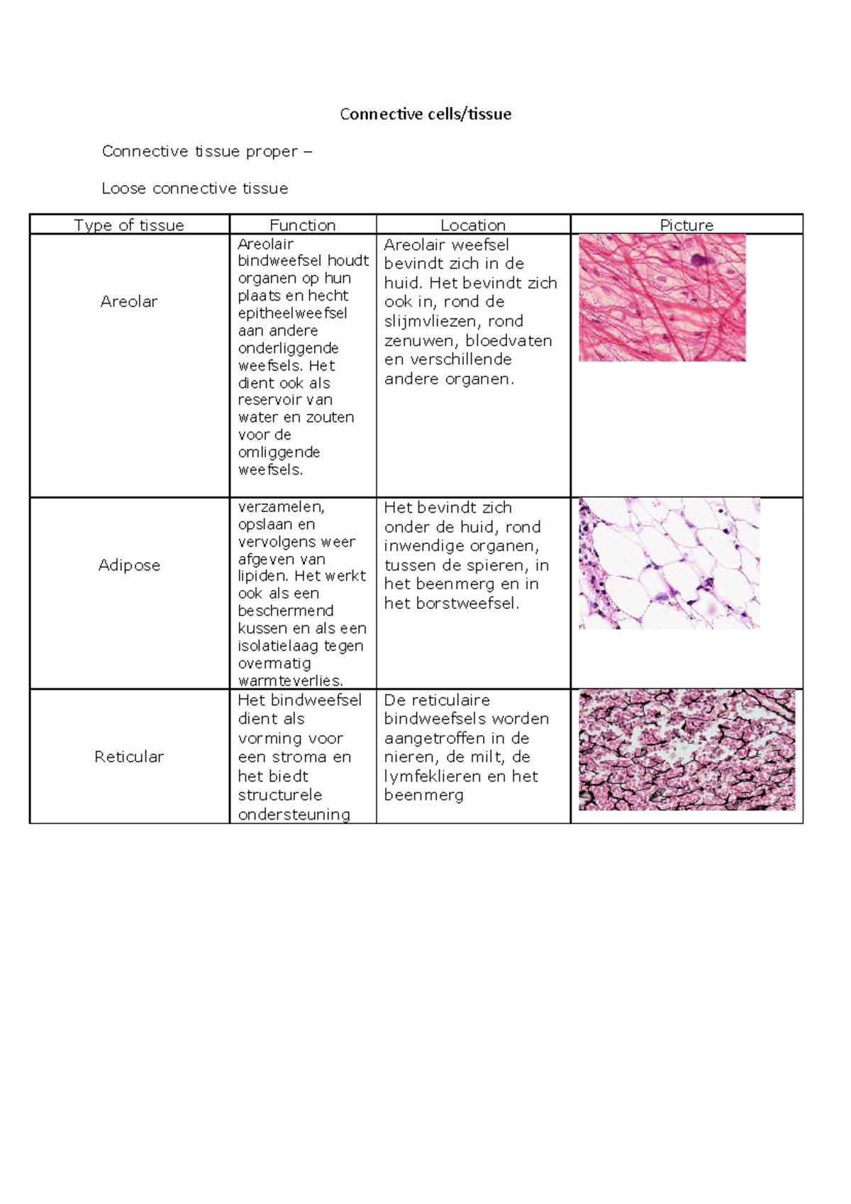 Connective cells worksheets - Connective cells/tissue Connective tissue ...