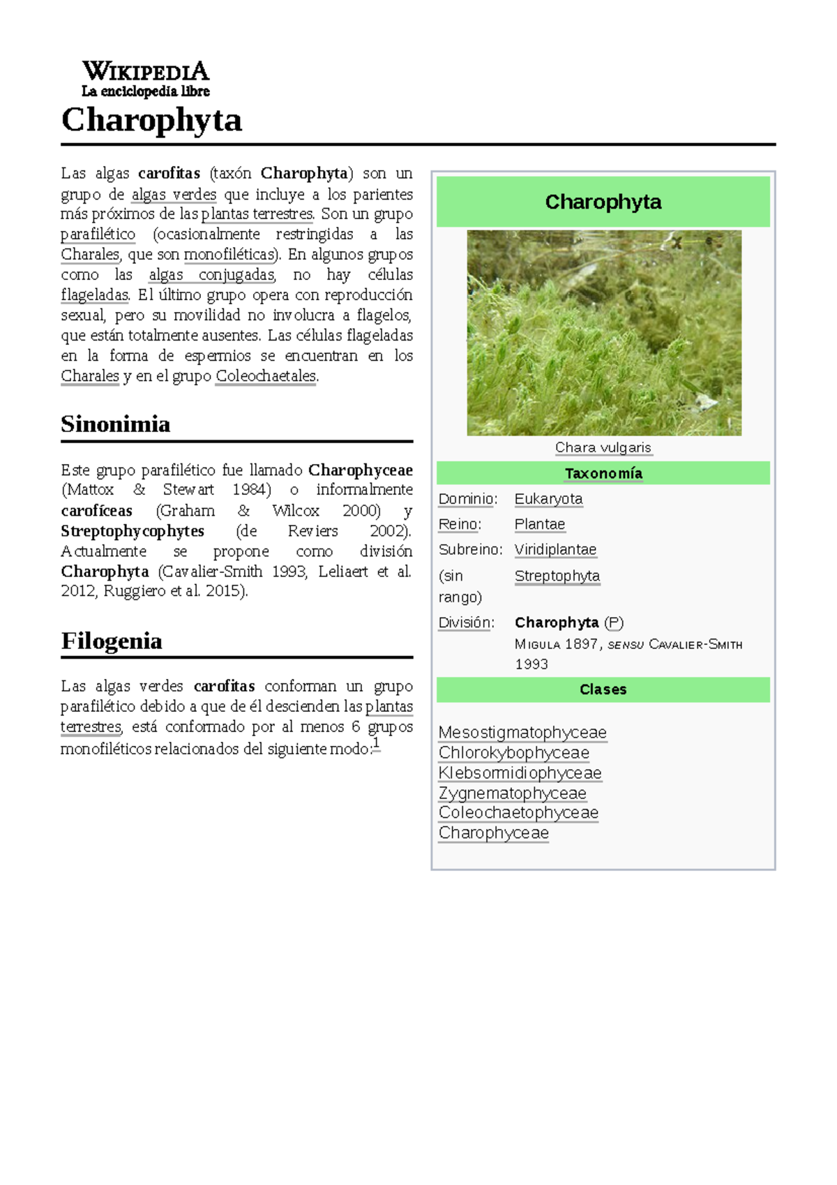 Charophyta - plantas. - Charophyta Chara vulgaris Taxonomía Dominio ...