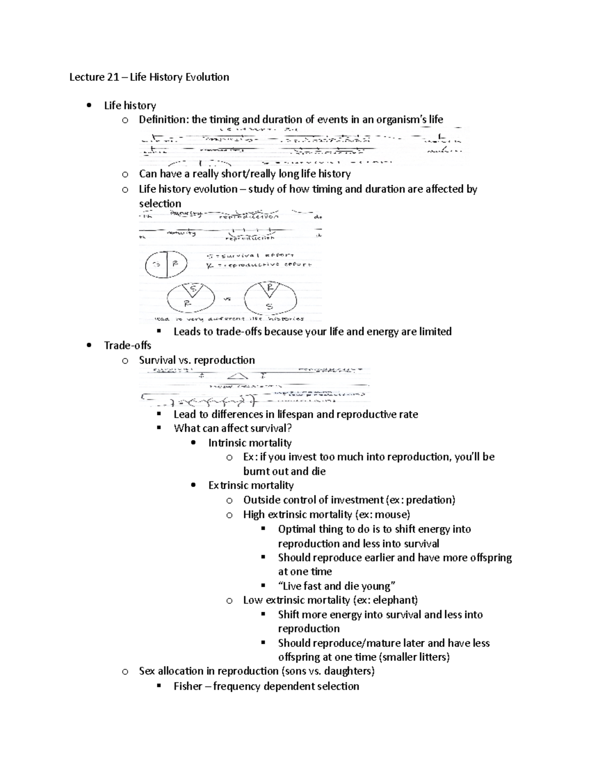 Lecture 21- Life History Evolution - Lecture 21 – Life History ...