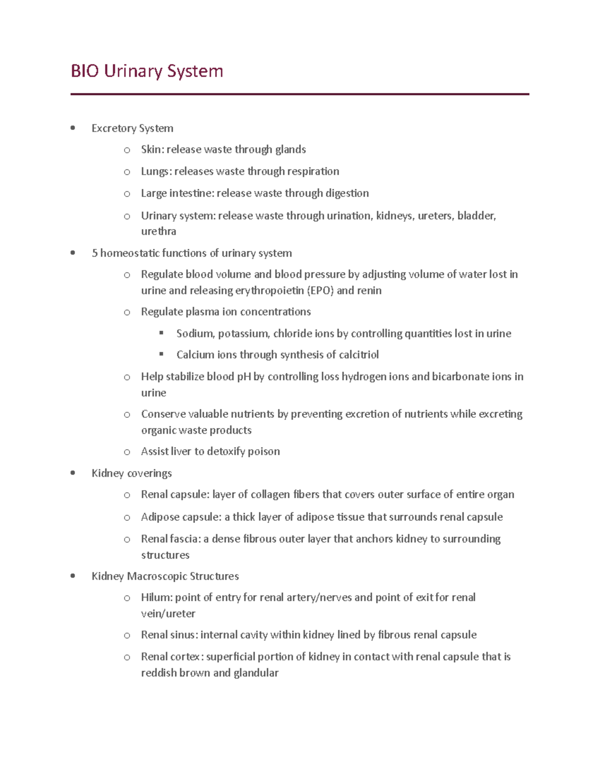 BIO Urinary System Notes - BIO Urinary System Excretory System o Skin ...