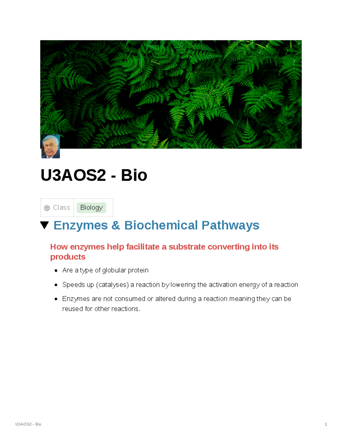 U3AOS2 - Biology - U3AOS2 - Bio Class Biology Enzymes & Biochemical ...