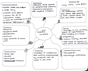 Concept Map 1 nsg 4800c - Lala - Concept Map 1 Galen College of Nursing ...