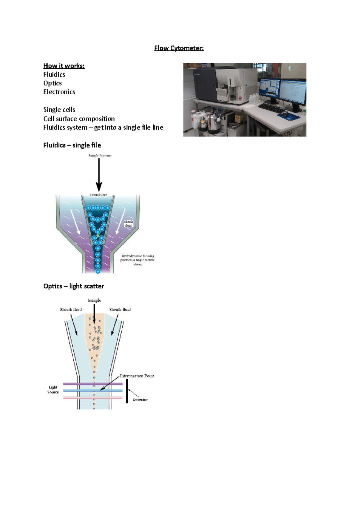 Flow cytometry (19th Nov) - Flow Cytometer: How it works: Fluidics ...