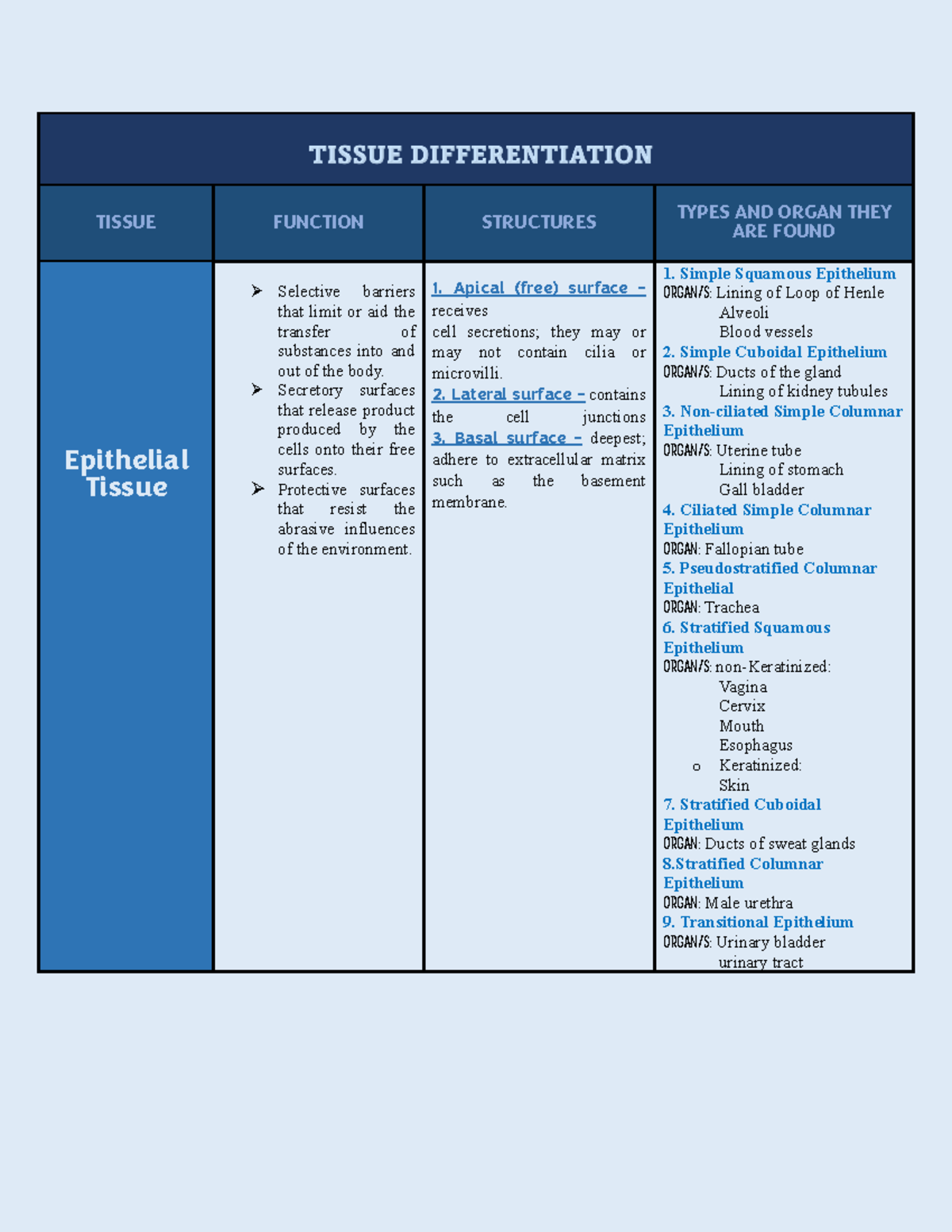 Tissue differentiation - TISSUE FUNCTION STRUCTURES TYPES AND ORGAN ...