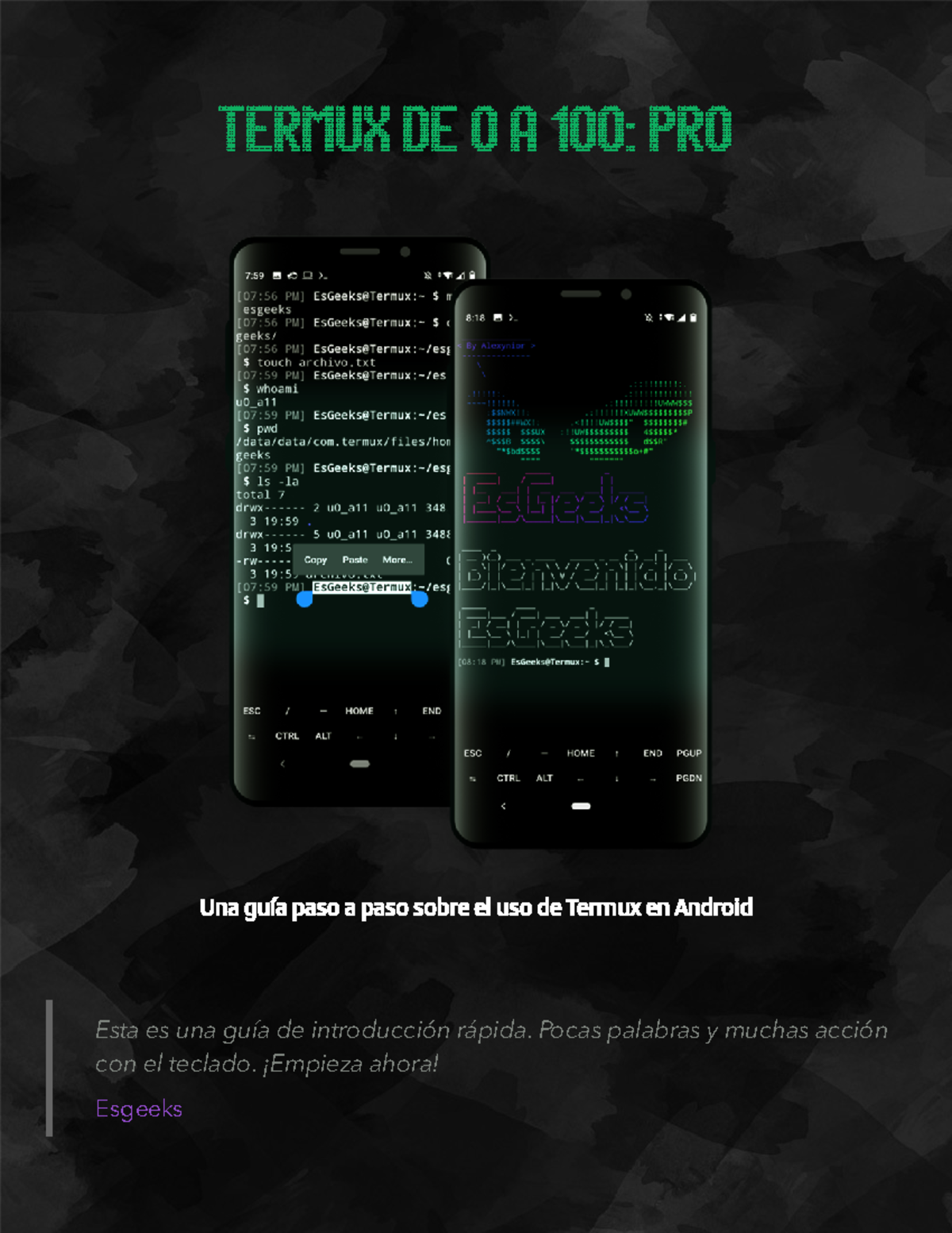 Termux - TERMUX DE 0 A 100: PROTERMUX DE 0 A 100: PRO Esta es una guía de introducción rápida ...