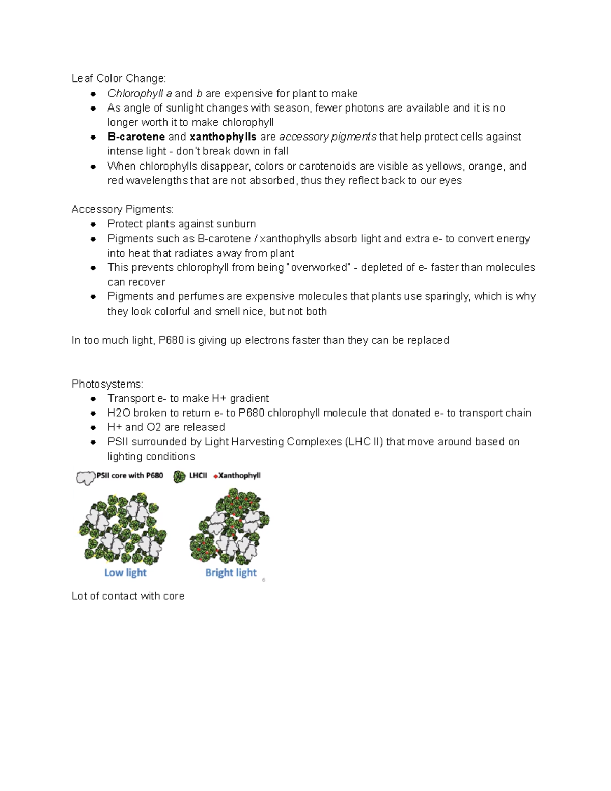 Photosynthesis, ATP Production, and Calvin Cycle - Leaf Color Change ...