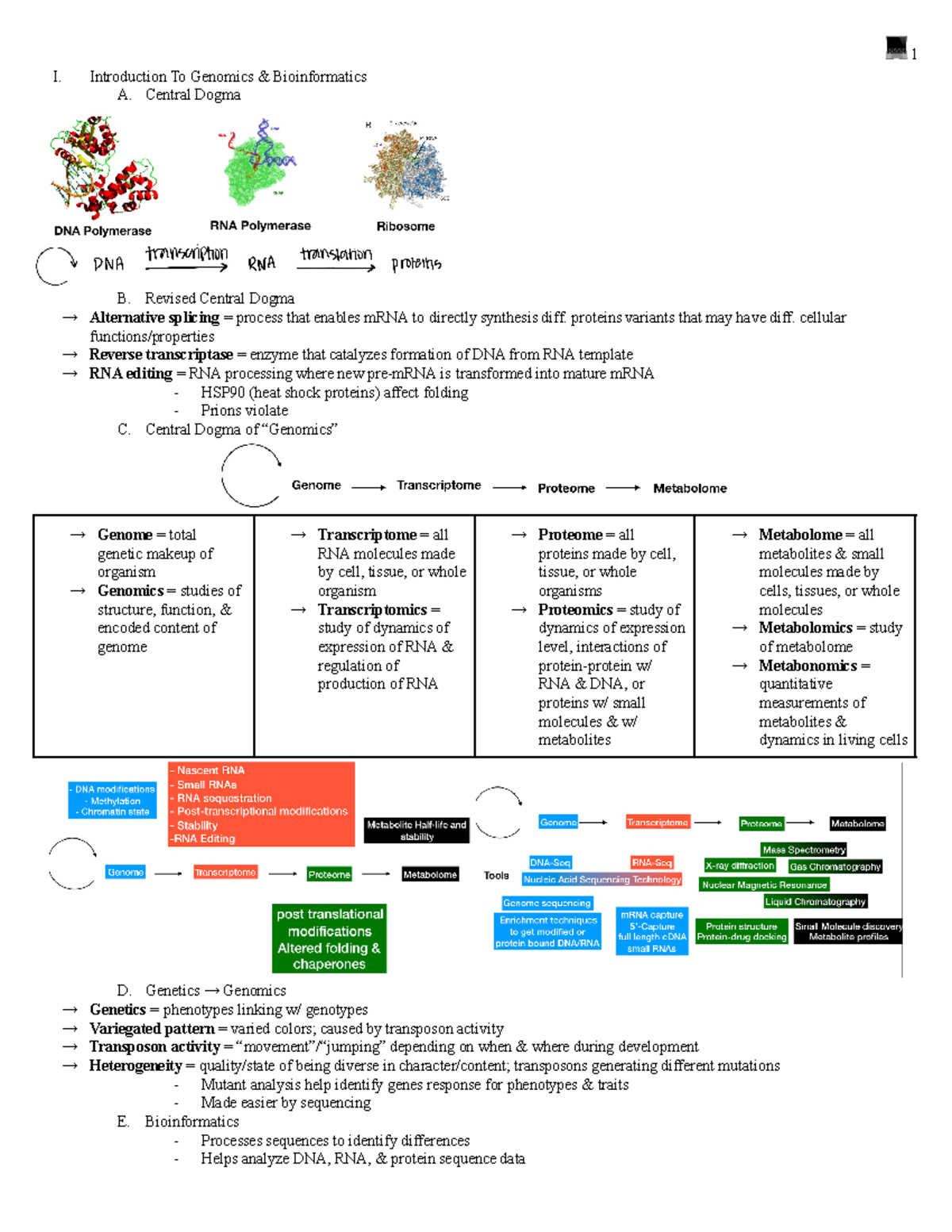 BIOL119 - midterm - I. Introduction To Genomics & Bioinformatics A ...