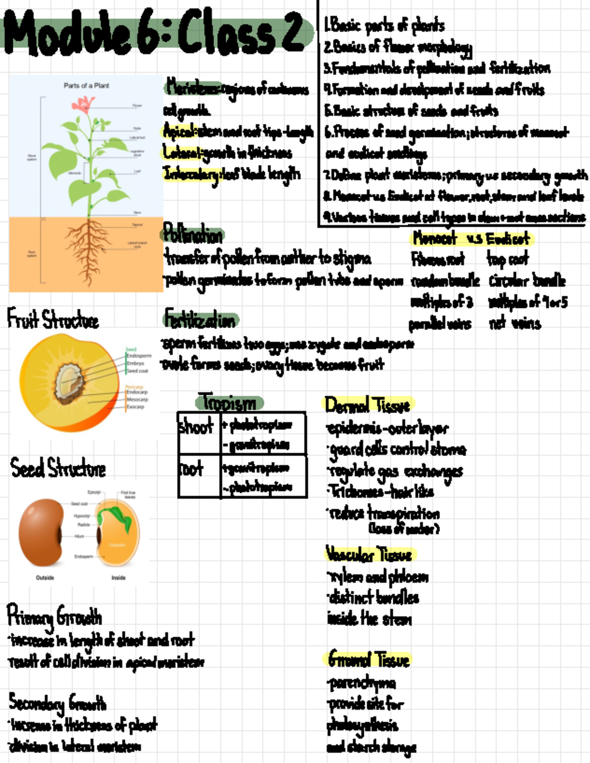 Module 5 Class 4 - Module 6: Class 2 1 parts of plants 2 of flower ...