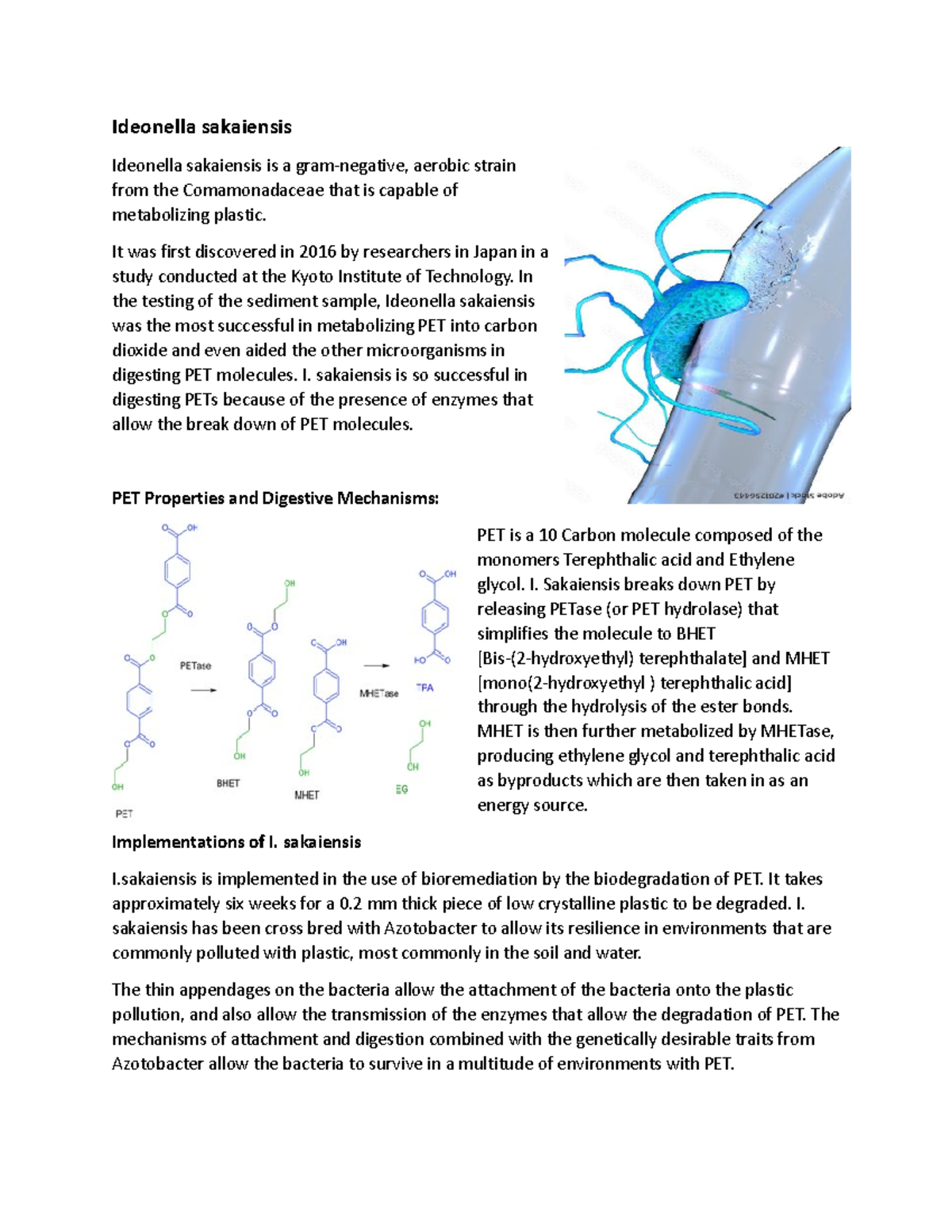 Marinobacter Newspaper Article - Ideonella sakaiensis Ideonella ...