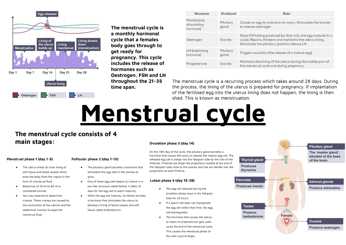 Biology poster - Menstrual cycle The menstrual cycle is a monthly ...
