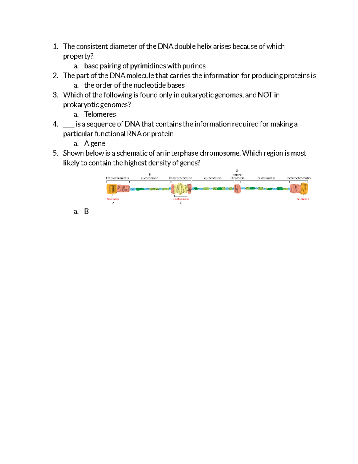 Ch. 5 reading quiz - Ch. 5 - DNA and chromosomes quiz - The consistent ...