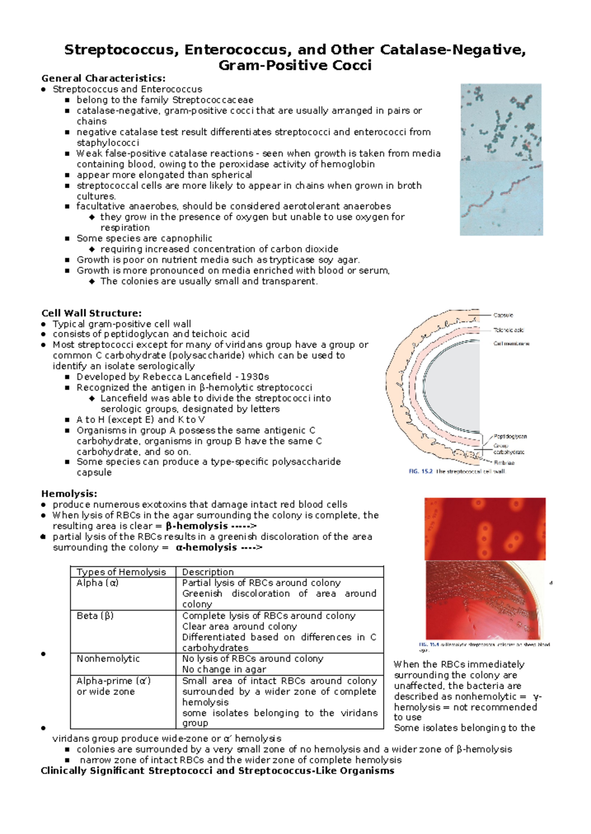 Streptococcus - notes - lecture and book - Streptococcus, Enterococcus ...
