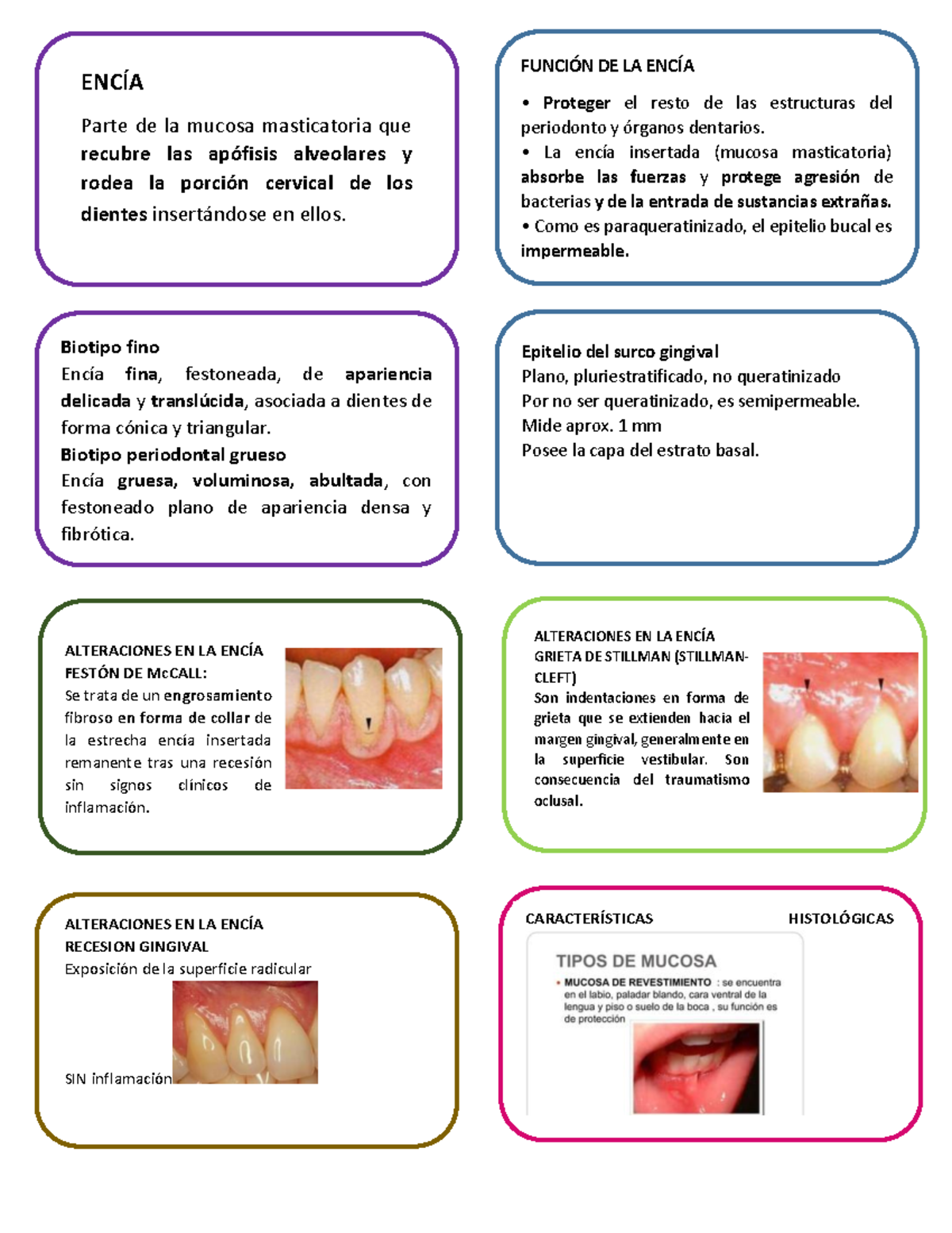 Fichas Perio - ENCÍA Parte de la mucosa masticatoria que recubre las ...