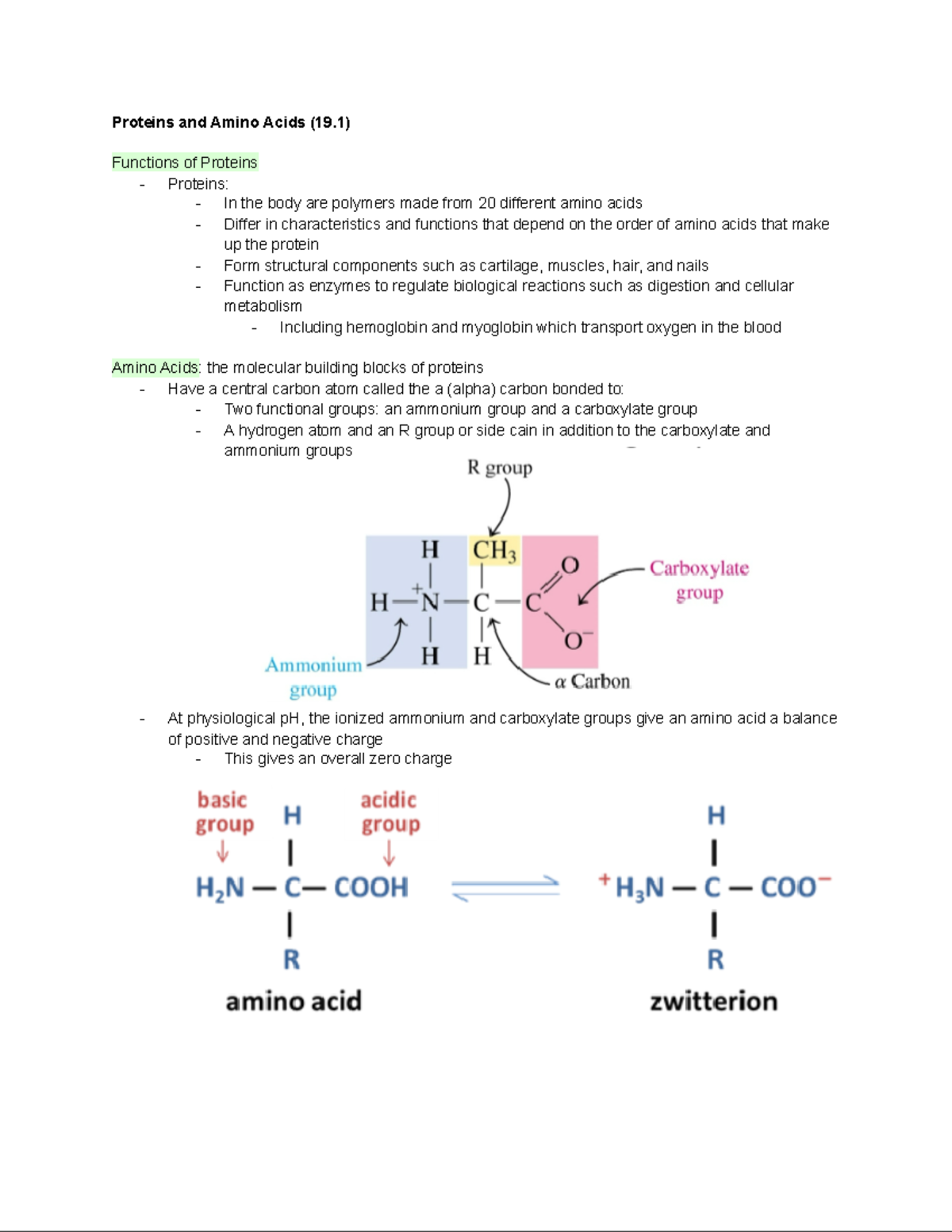 Chapter 19 Lecture Notes - Proteins and Amino Acids (19) Functions of ...