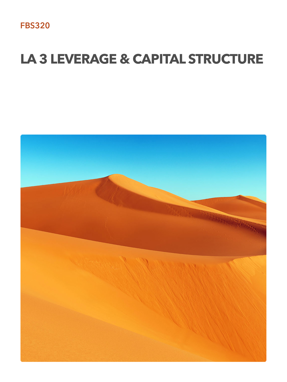 FBS320 LA3 Leverage & Capital structures - FBS LA 3 LEVERAGE & CAPITAL ...
