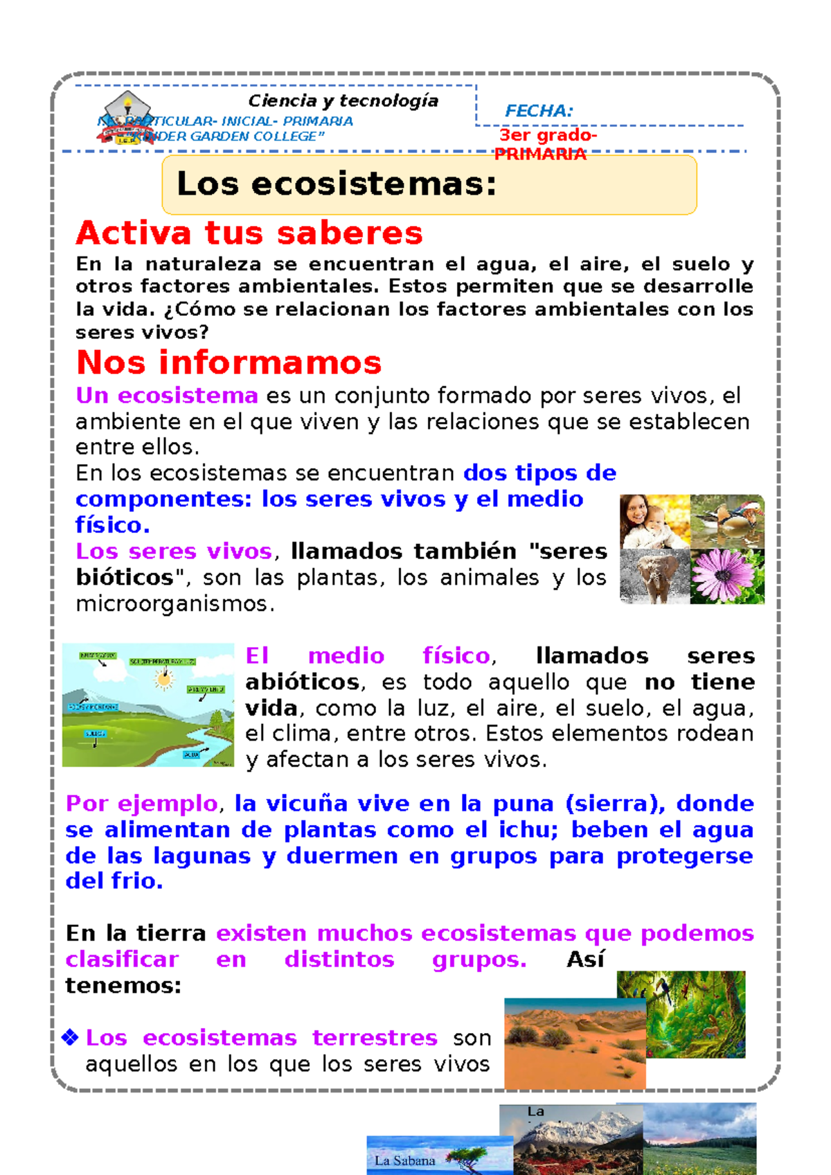 LOS Ecosistemas - ES UN MATERIAL PARA PRACTICAR y guia para el ...