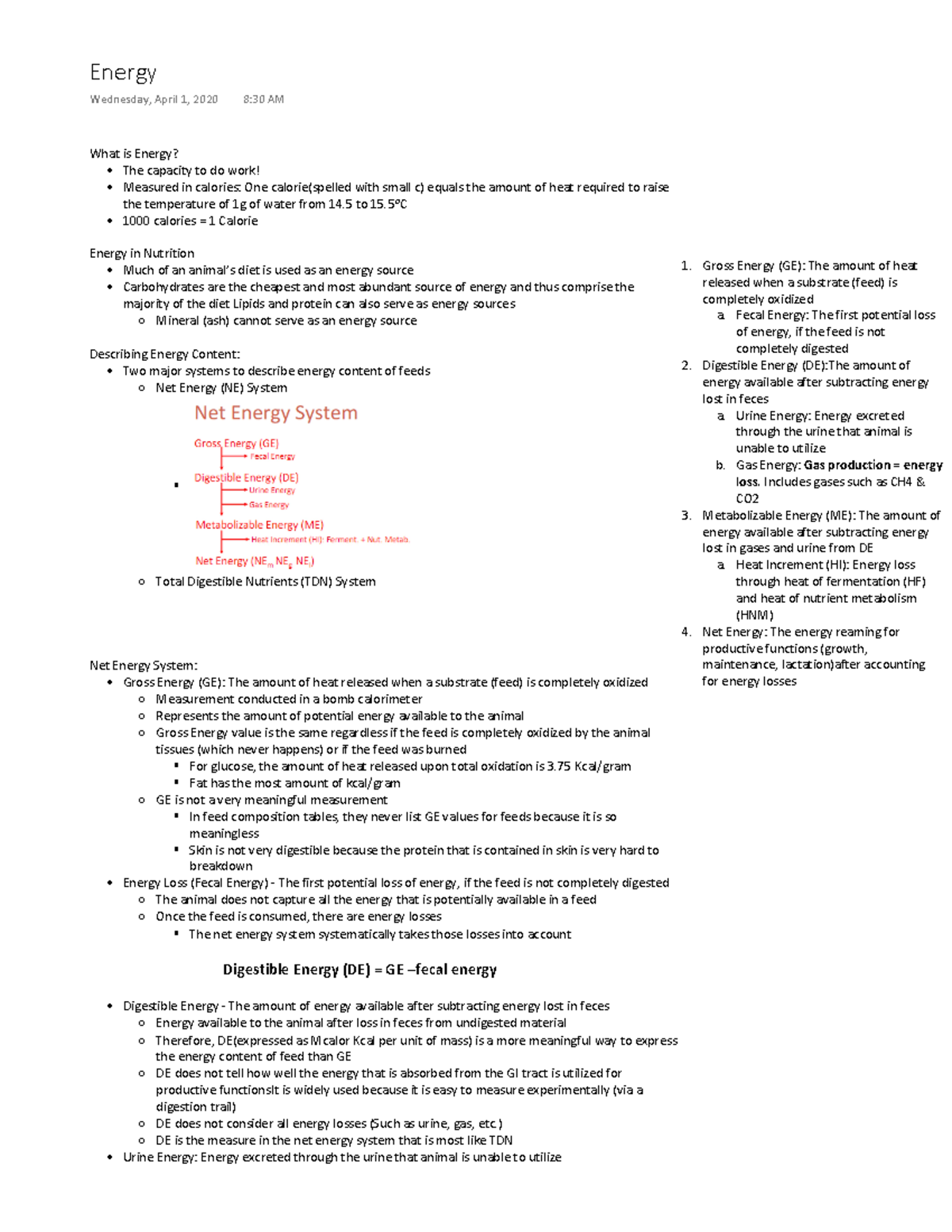 Energy of Animals Part 1 - Warning: TT: undefined function: 32 tŚĂƚ ŝƐ ...