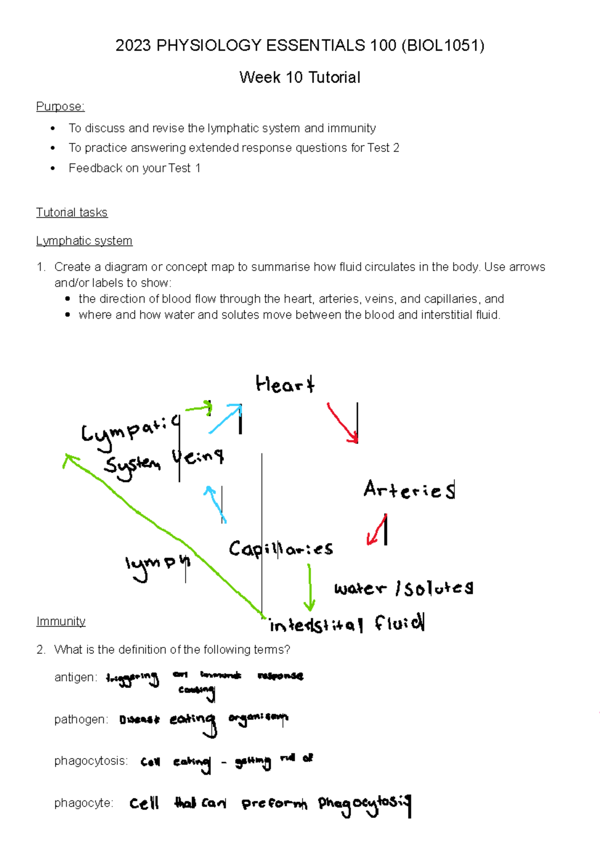 Week 10 - 2023 Muscular system tutorial - 2023 PHYSIOLOGY ESSENTIALS 100 (BIOL1051) Week 10 ...