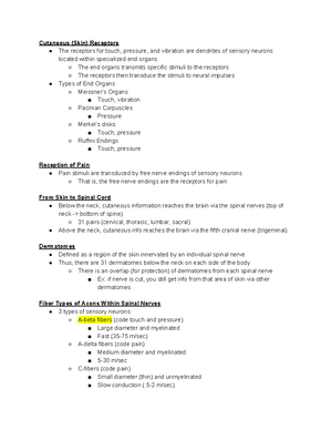 The Nervous System Neurons notes - The Neuron: an Introduction The ...