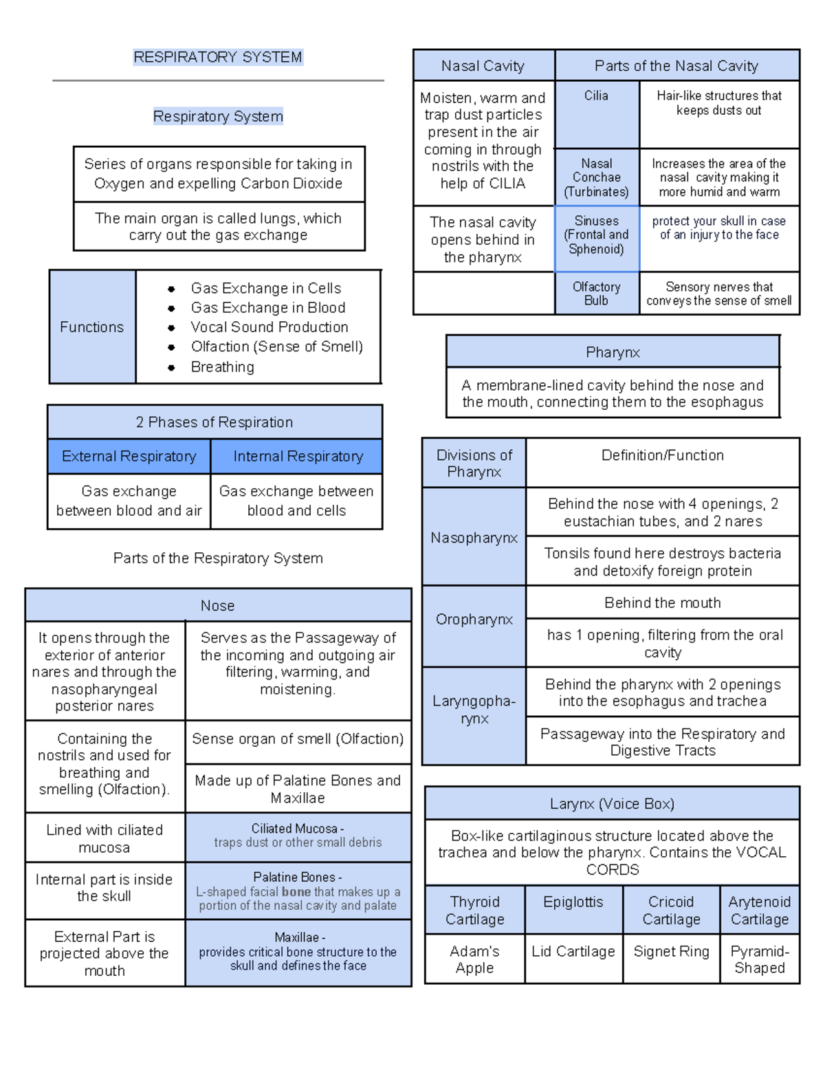 Respiratory System - GEN BIO 2 1st QTR - RESPIRATORY SYSTEM Respiratory ...
