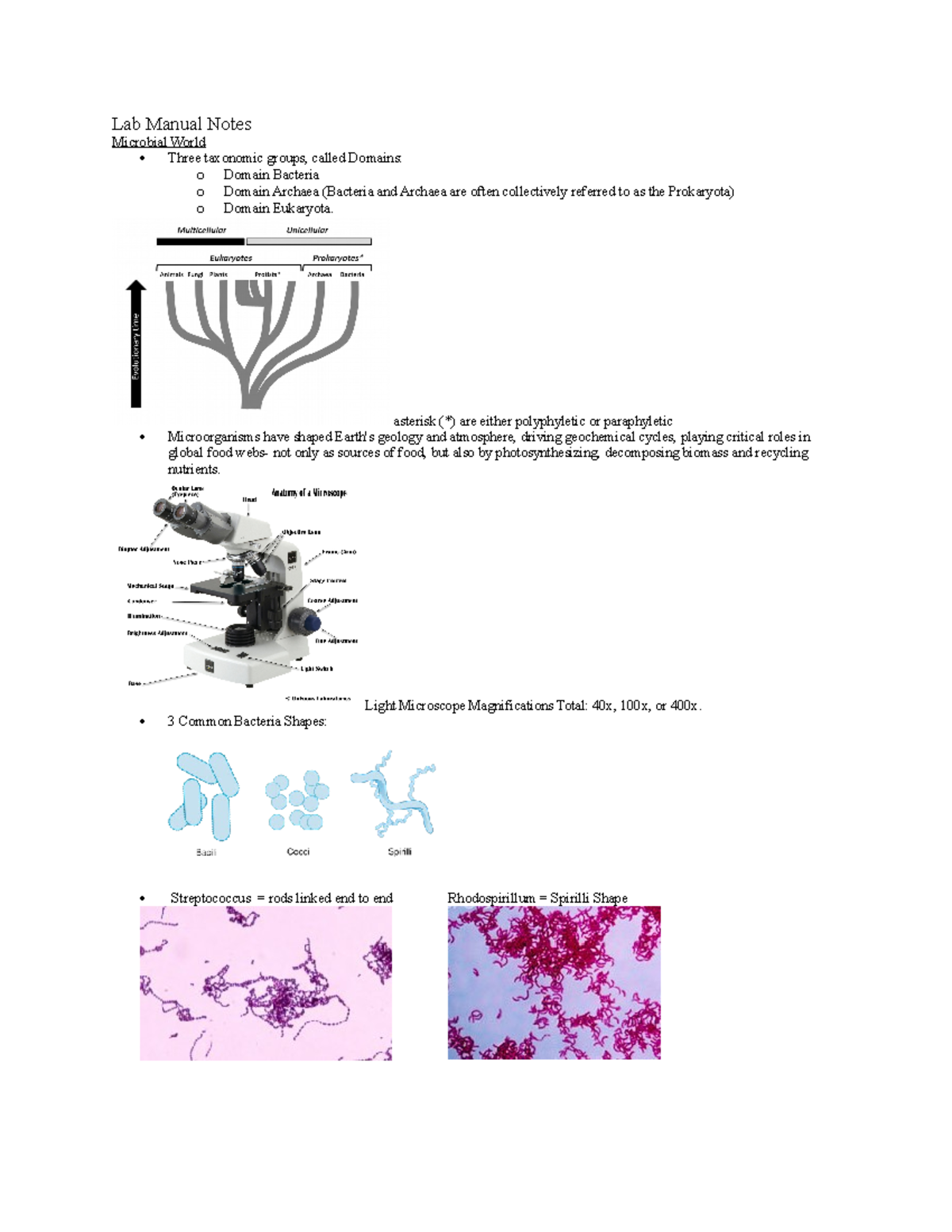 Practical - Exam notes based on all the laboratory handouts, slides ...