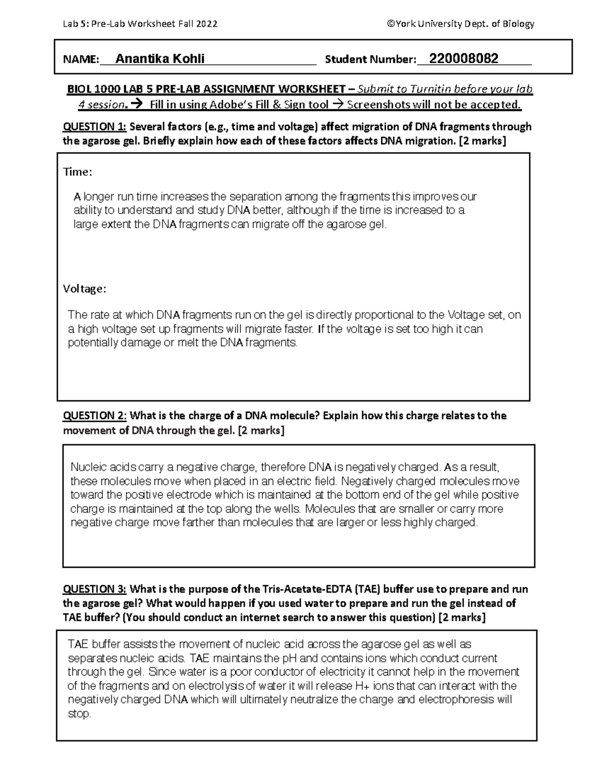 Lab 5 Pre-Lab Worksheet F22 - of Biology NAME ...