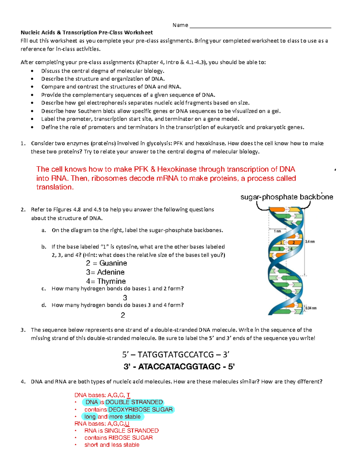 Week 5a - pre class worksheet - Name ...