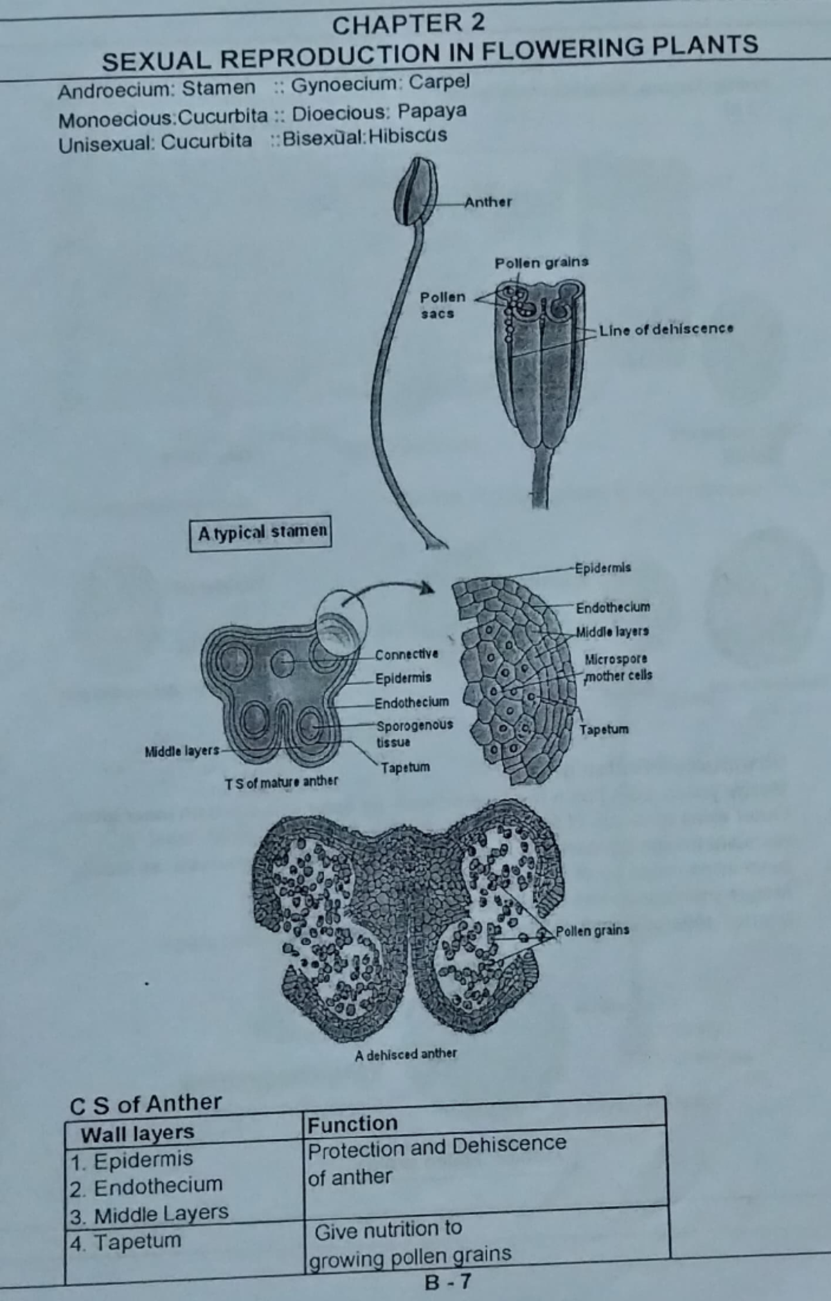 Botony chp 2 - CHAPTER 2 SEXUAL REPRODUCTION IN ####### FLONERING ...
