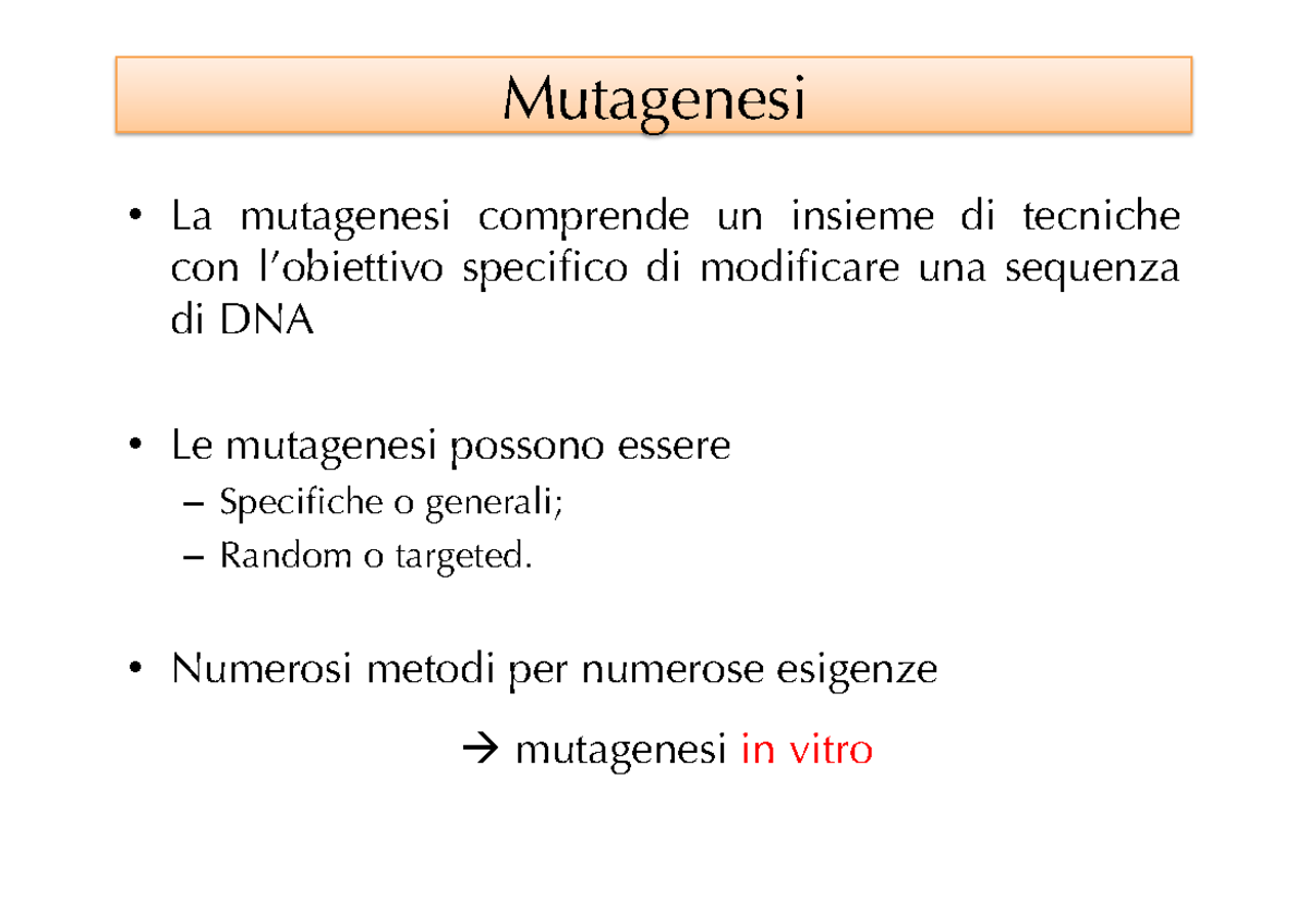 6 mutagenesi - • Numerosi metodi per numerose esigenze à mutagenesi in ...