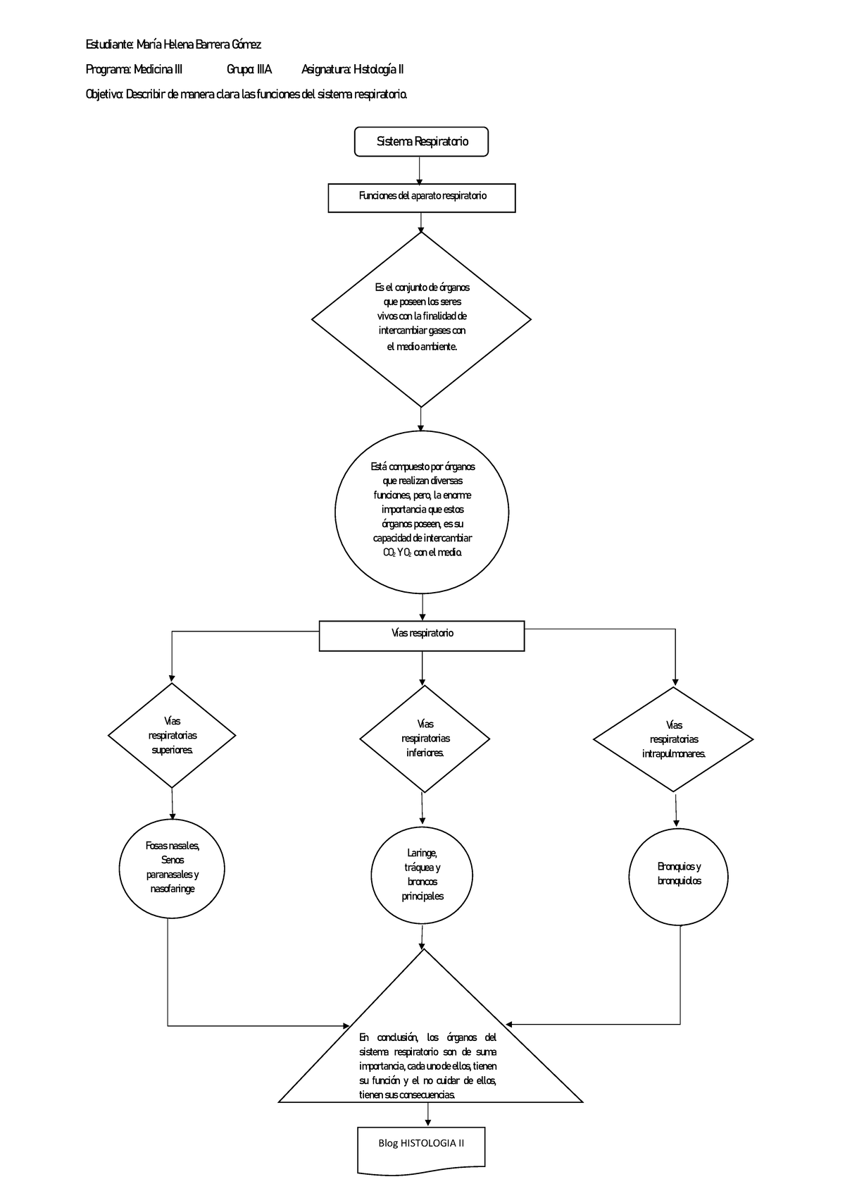 Flujograma Sistema Respiratorio - Warning: TT: undefined function: 32 Estudiante: María Helena ...