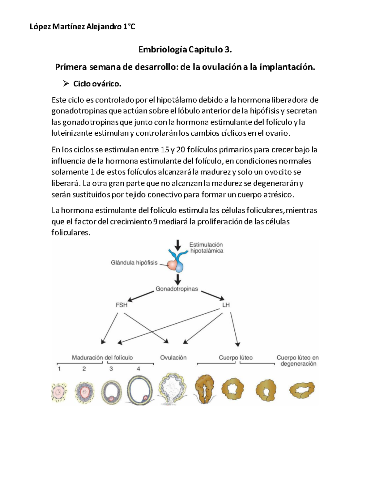Resumen Cap3 embrio - Embriología Capitulo 3. Primera semana de desarrollo: de la ovulación a la ...