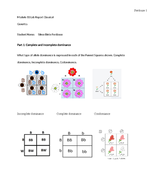 Properties of water worksheet Module 4 - Properties of Water Worksheet ...