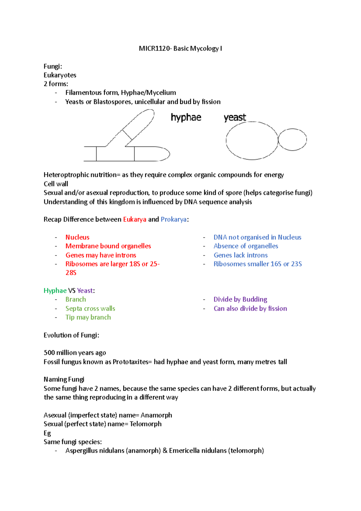 MICR1125- Basic Mycology I - MICR1120- Basic Mycology I Fungi ...