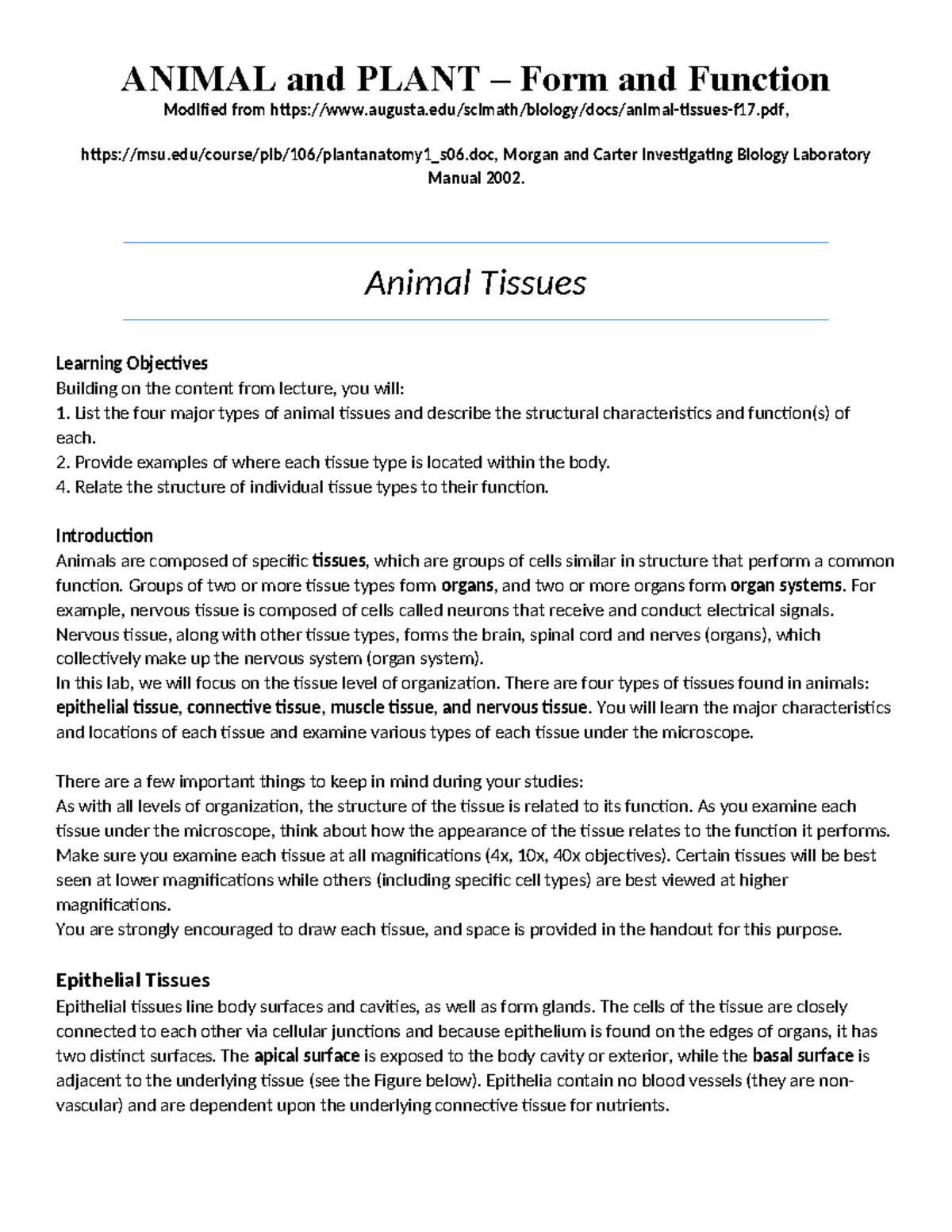 Animal and Plant Form and Function-Worksheet - ANIMAL and PLANT – Form ...