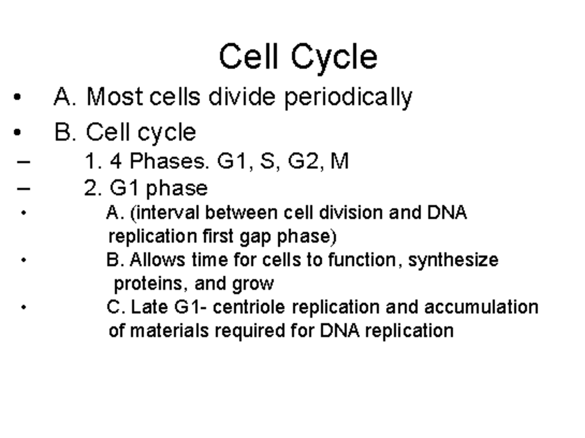 Anatomy and Physiology - Cell Cycle A. Most cells divide periodically B ...